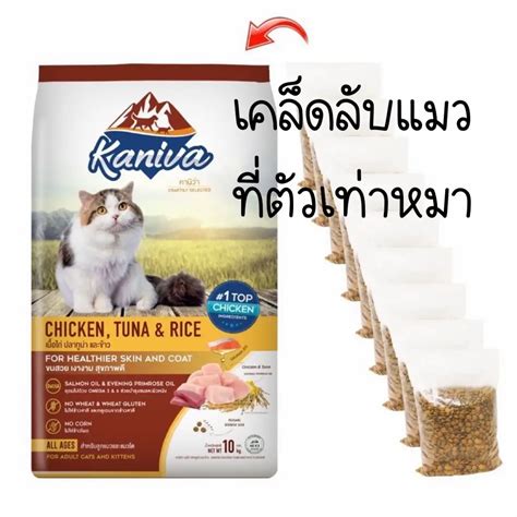 เลี้ยงแมวอ้วน 4 ตัว ค่าใช้จ่ายต่อเดือนเท่าไร แกลเลอรีที่โพสต์โดย