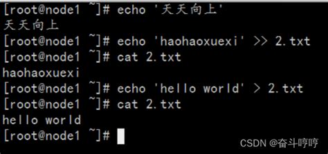 Linux常用基础命令linux的显示命令和重定向命令 Csdn博客