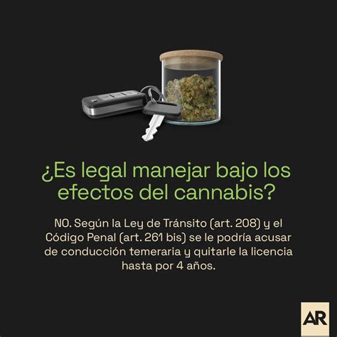 5 Preguntas Clave Sobre El Consumo De Cannabis Y La Ley En Costa Rica
