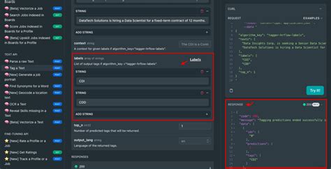 Text Tagging Api Zeroshot Jobs Profiles Classification Hrflow Ai