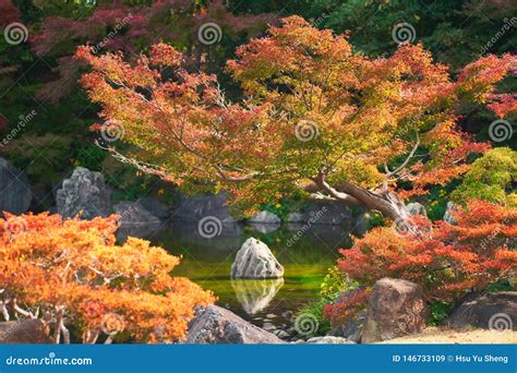 Japanese Garden Of Expo Commemorative Park Stock Image Image Of Nature Expo