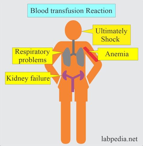 Blood Banking Part Blood Transfusion Reactions In Donor And Recipient Treatment Of Blood
