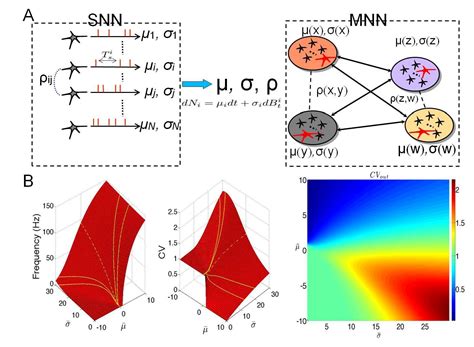 Combi Projects Neuronal Networks