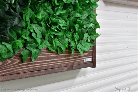 Фитокартина Плющ — панель из искусственных растений | Di-Fiori ™ Москва ...