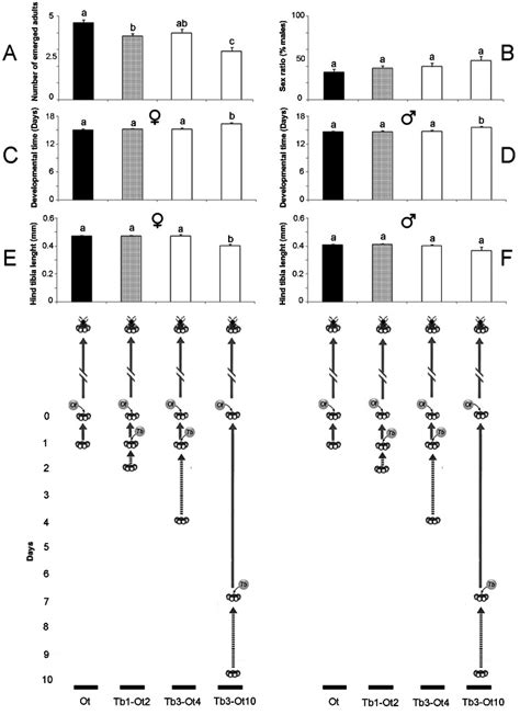 The Number Emerging A Sex Ratio B Developmental Time And Size Of