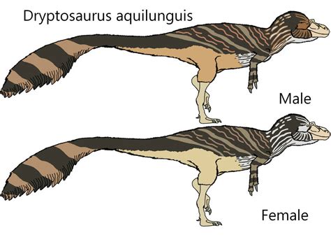 Dryptosaurus Aquilunguis By Draco300 On Deviantart