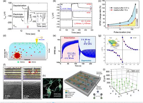 Figure 3 From Electrolyte Gated Transistors For Synaptic Electronics Neuromorphic Computing