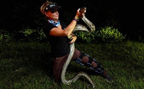 New Florida Tourist Thrill Hunt And Maybe Catch A Python Stars And Stripes