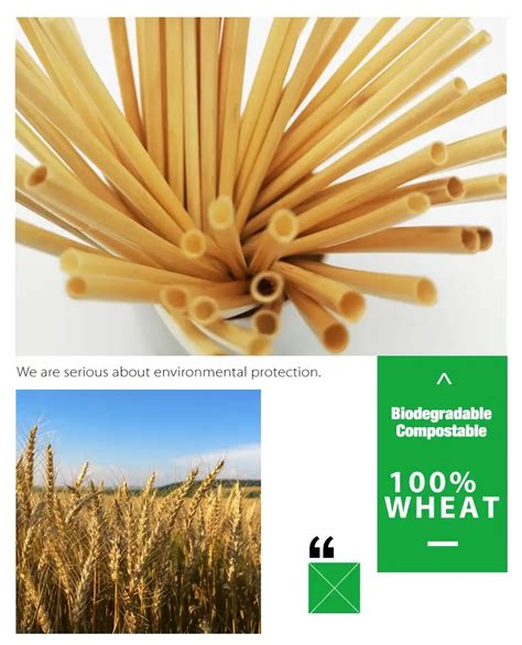 Eco Friendly Disposable Pure Wheat Straw Buy Pure Natural Straw Pure