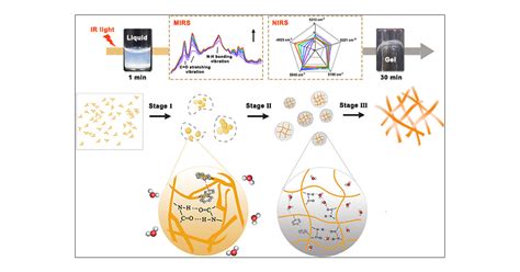 Three Stages Of Dynamic Assembly Process Of Dipeptide Based Supramolecular Gel Revealed By In