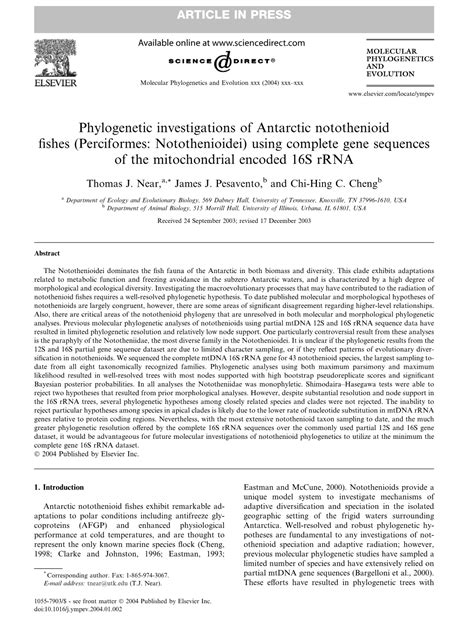Phylogenetic Investigations Of Antarctic Notothenioid ﬁshes Perciformes Notothenioidei Using