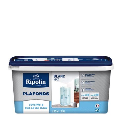 Peinture Plafond Blanc Mat Ripolin Xpro3 Pièces Humides 25l Leroy Merlin