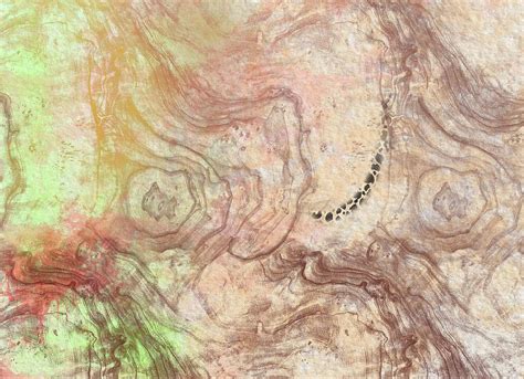 The Hidden Pattern Digital Art By Harleen Kokri Fine Art America