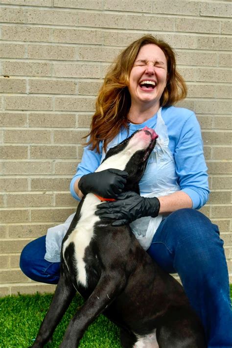 Kill Vs No Kill Animal Shelters And Rescues Dallas Love Bugs