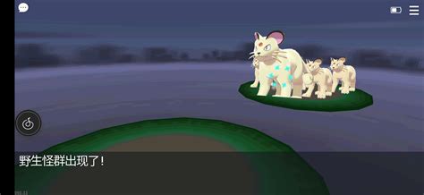 记录 Shiny Diary Chinese Pokemmo