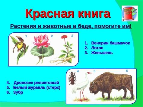 Животные и растения красной книги чувашии фото и описание