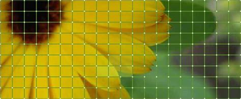 Imjqmosaic Jquery Plugin For Creating Image Mosaic Patterns Greepit