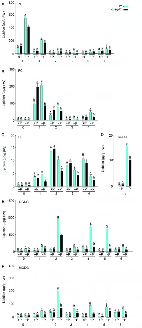 Knockout Of Ossqd1 Affects The Fatty Acid Saturation Of Different Lipid