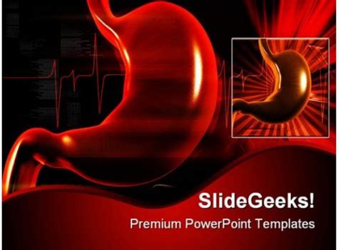 stomach medical powerpoint backgrounds and templates 0111 powerpoint