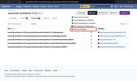 Analyze Codebase End To End With Deplock And Dejacode Command Line