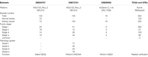 Frontiers Development And Validation Of A Prognostic Gene Signature