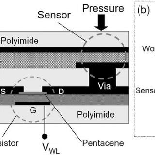 Integration Of Organic Transistors With Pressure Sensitive Rubber Download Scientific Diagram