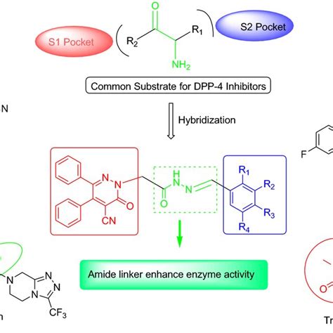 Ligand Based Designing Of Dpp 4 Inhibitors Download Scientific Diagram