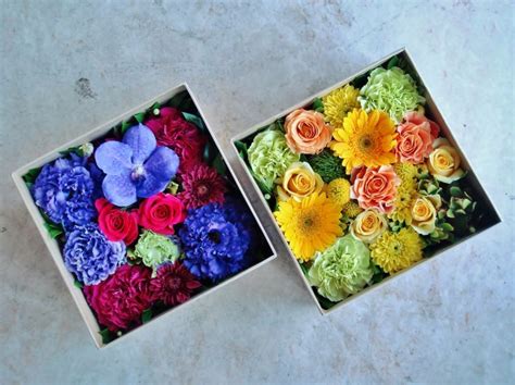 Chizuru Kimura Adlı Kullanıcının Lily Flowers Panosundaki Pin