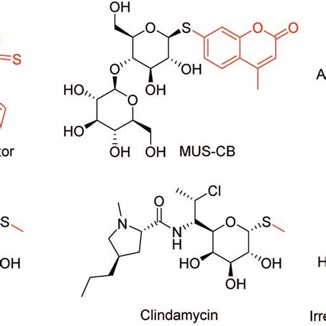 Examples Of Biologically Active Thioglycosides Download Scientific
