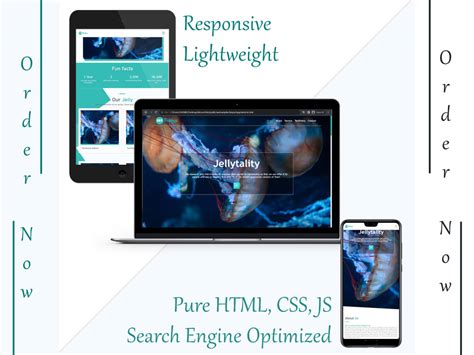 Personal Portfolio Website Coded From Scratch Upwork