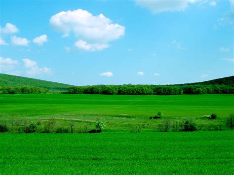 Grass Field Free Photo 1397829