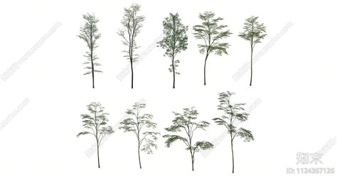 造型树su模型下载【id1124367126】知末su模型网