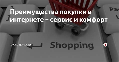Преимущества покупки в интернете сервис и комфорт Сосед Домосед Дзен
