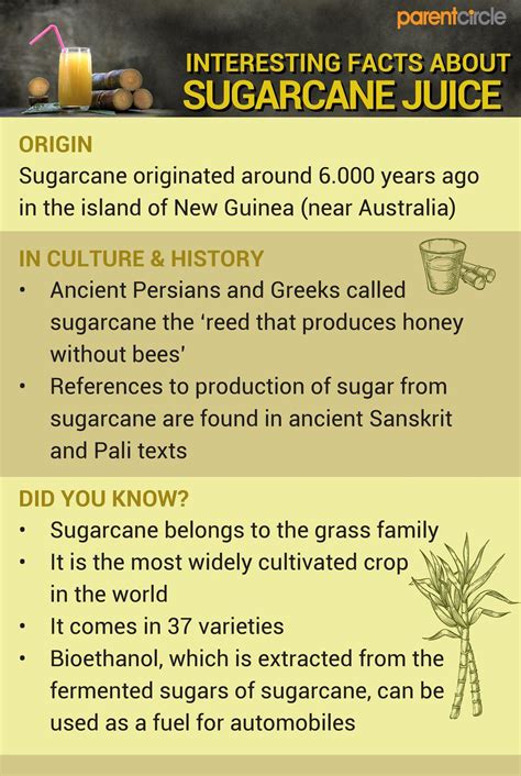 Health Benefits Of Sugarcane Juice Sugarcane Juice Nutrition