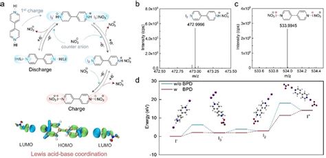 从无机碘到有机碘：稳定i以实现高比能量锂 碘电池 X Mol资讯