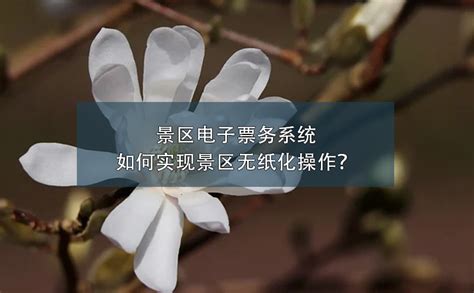 景区电子票务系统如何实现景区无纸化操作