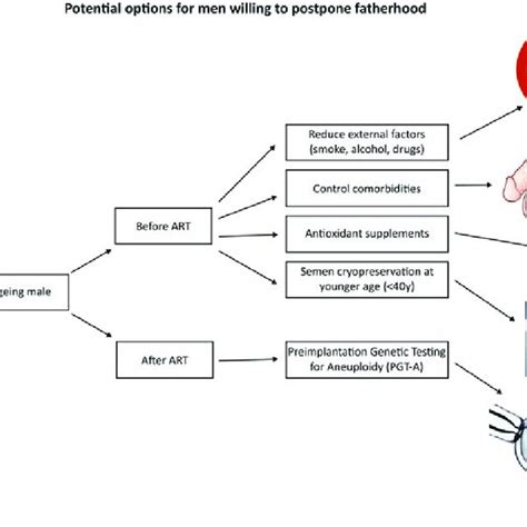 Potential Strategies To Prevent Sperm DNA Damage In Men Willing To Download Scientific