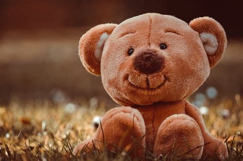 가을 가을 설정 갈색 테디 곰 인형 귀여운 장난감 귀여운 플러시 껴안고 싶은 장난감 노는 시간 따뜻한 빛 따뜻한