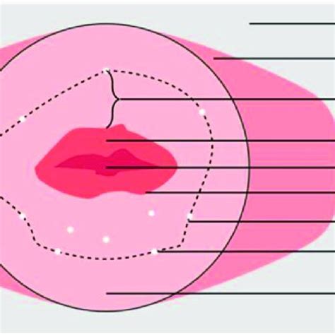 A Bar Graph Showing The Percentage Of Null Values In The Dataset B Download Scientific