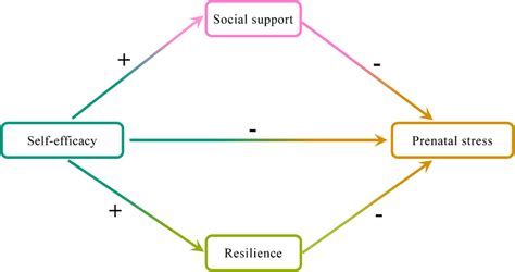 Hypothetical Model Of This Study Download Scientific Diagram