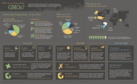 Gmo Infographic Insights Ias Simplifying Upsc Ias Exam Preparation