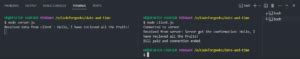 TCP NODELAY And Disable Nagle S Algorithm In Node Js CodeForGeek