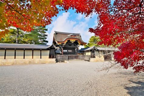 【京都賞楓完整指南】京都紅葉景點一篇掌握！ 好運日本行
