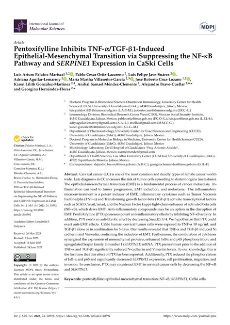 Pdf Pentoxifylline Inhibits Tnf αtgf β1 Induced Epithelial