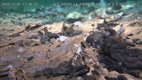 Chinese Submersible Explores Previously Unknown Giant Craters At The