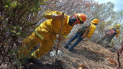 ANGTO Combaten Autoridades Incendio Forestal Que Se Registra En La
