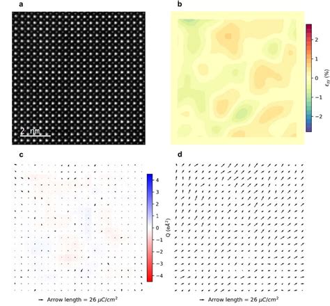 Strain And Polarization Analysis Of A Single Batio3 Freestanding