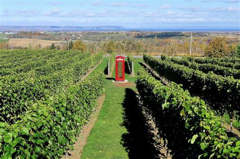 Private Vineyards Of Nova Scotia