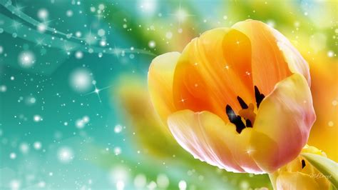 Tulip Wallpaper And Screensavers Wallpapersafari