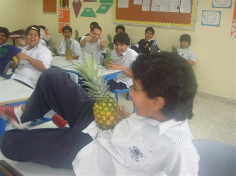 Fibonacci Numbers And Pineapple Beauty And Mathematics